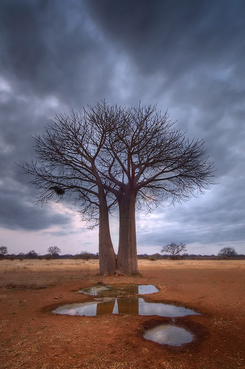 South Africa Landscapes - WildLight Photography