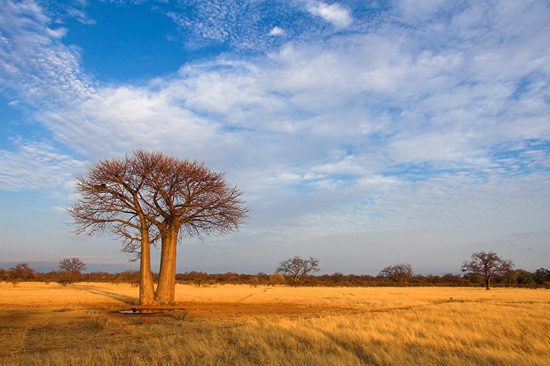 South Africa Landscapes - WildLight Photography