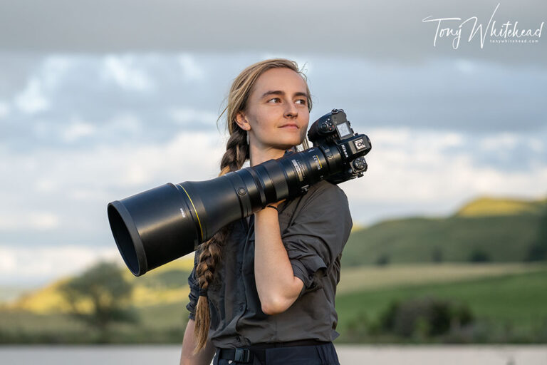 Looking Back at 2022 - WildLight Photography