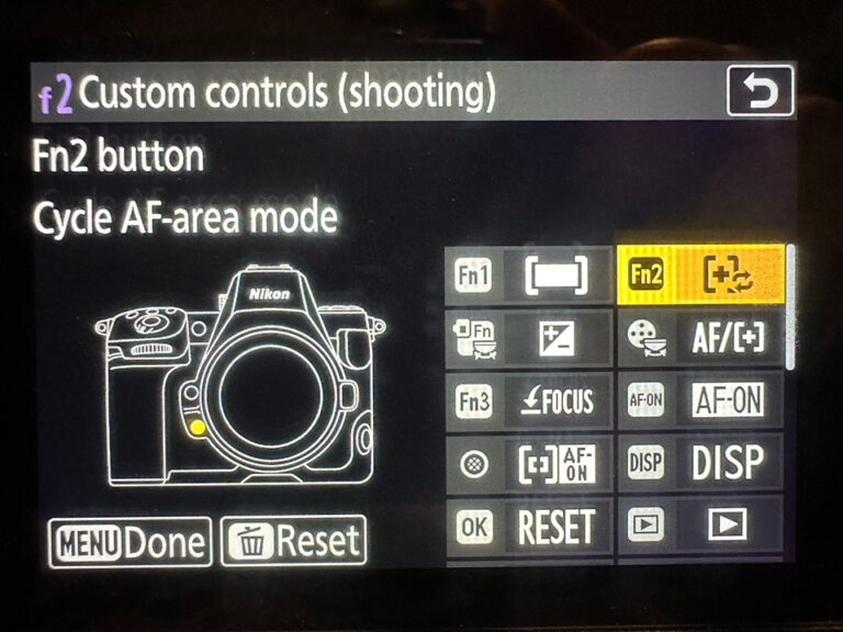 Why the Nikon Z8 is a Better Bird Camera than the Z9 (for now ...