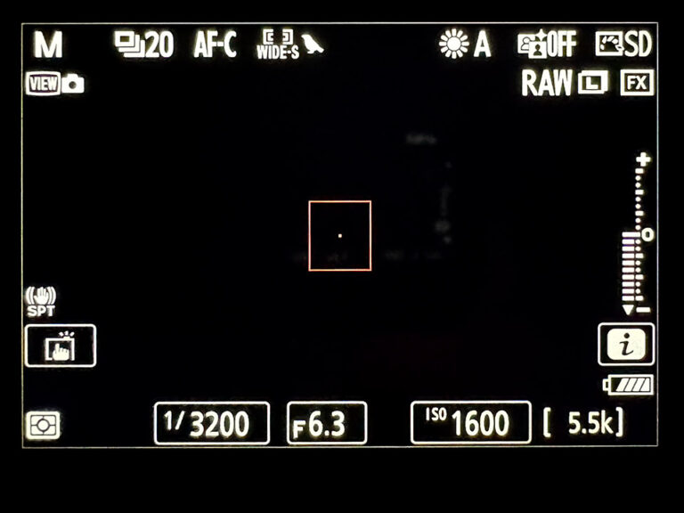 My Nikon Z8/Z9 Autofocus Settings for Bird Photography - WildLight ...